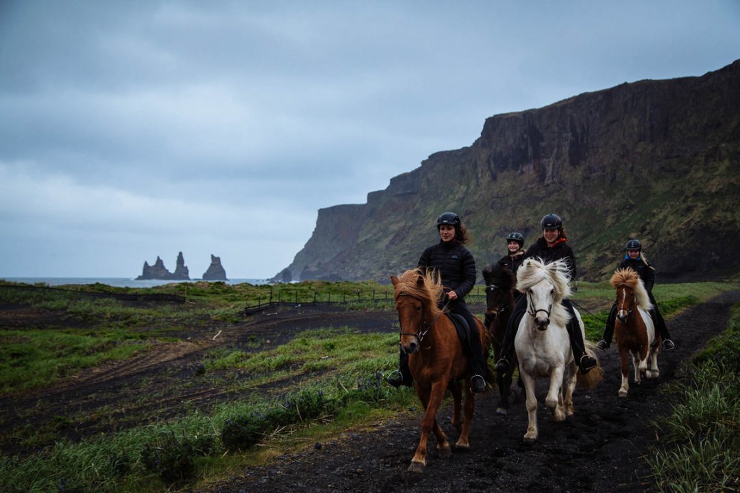 Vík Horse Adventure - Horse Riding in Vík, South Iceland